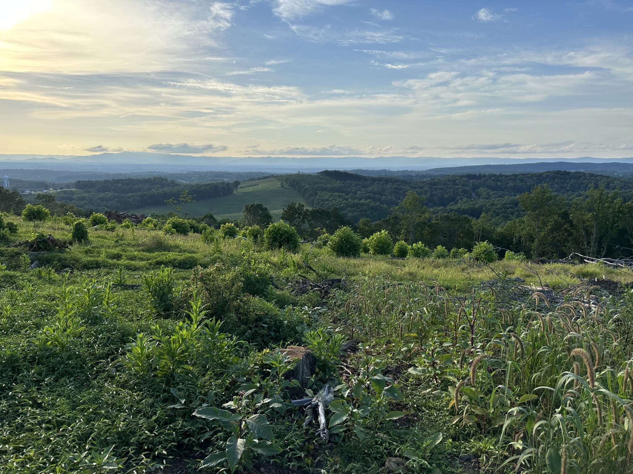 Chestnut Ridge Lots | theshipleyco.com