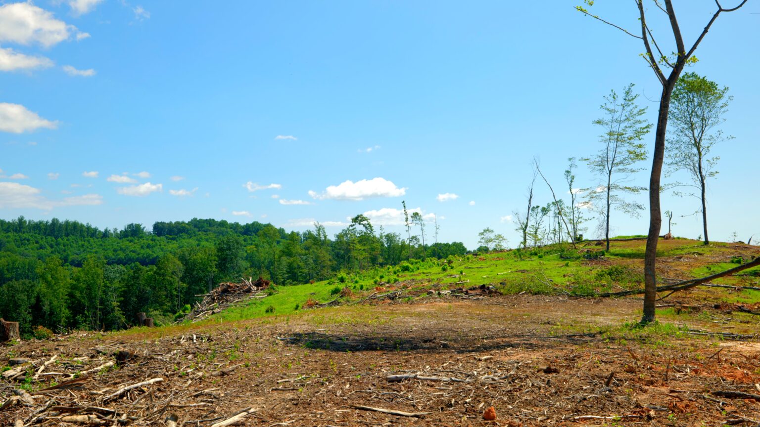 Chestnut Ridge Lots | theshipleyco.com