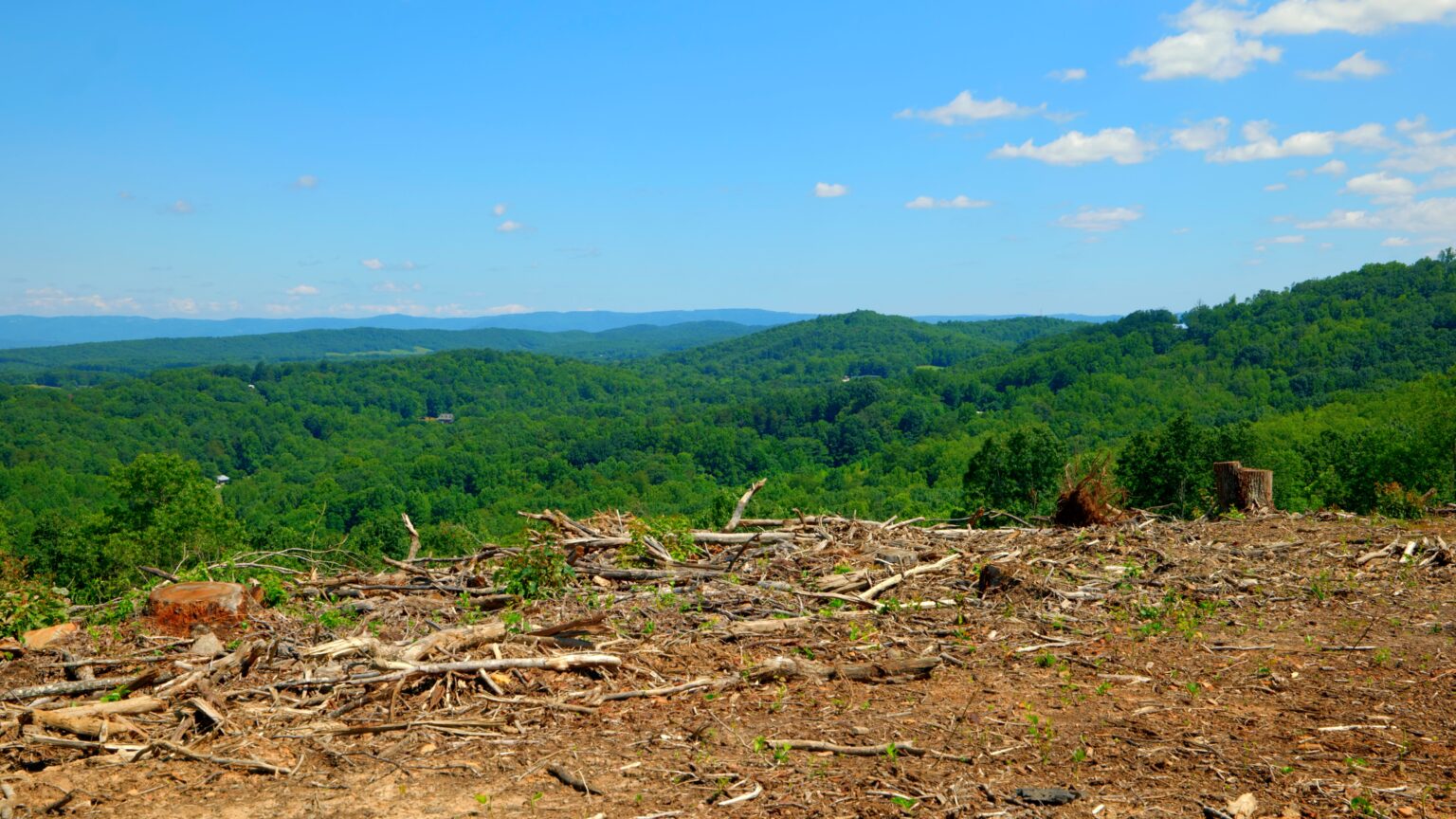 Chestnut Ridge Lots | theshipleyco.com