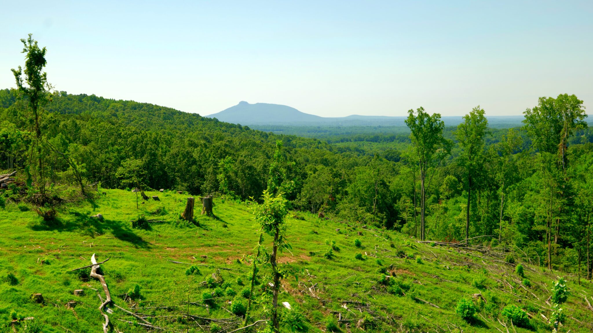 Chestnut Ridge Lots | theshipleyco.com