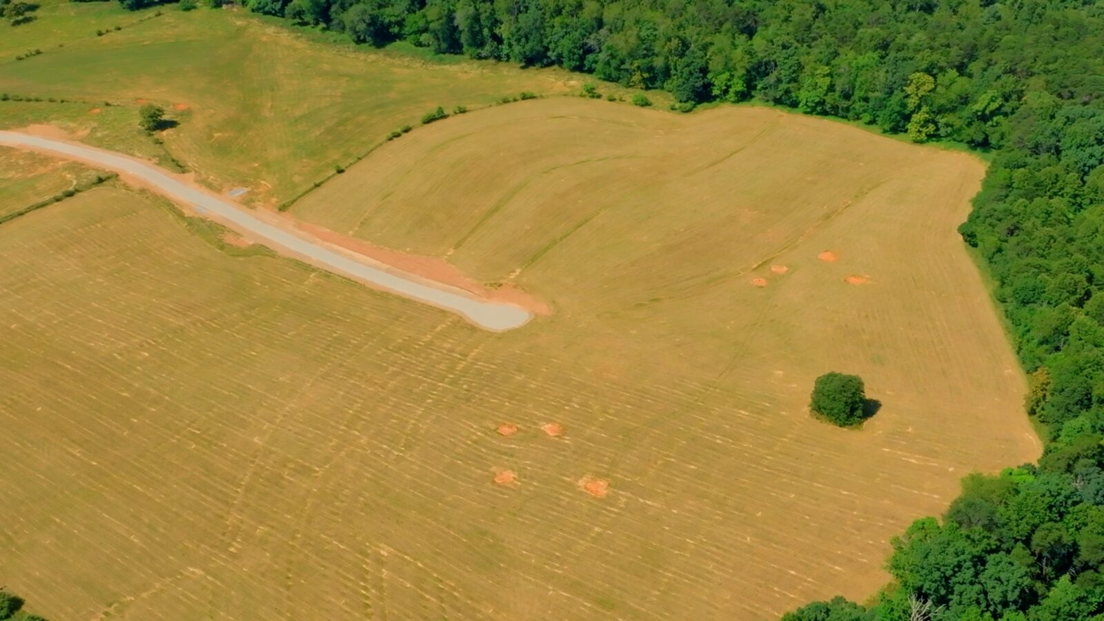 Tom Hunter Road Lots | theshipleyco.com