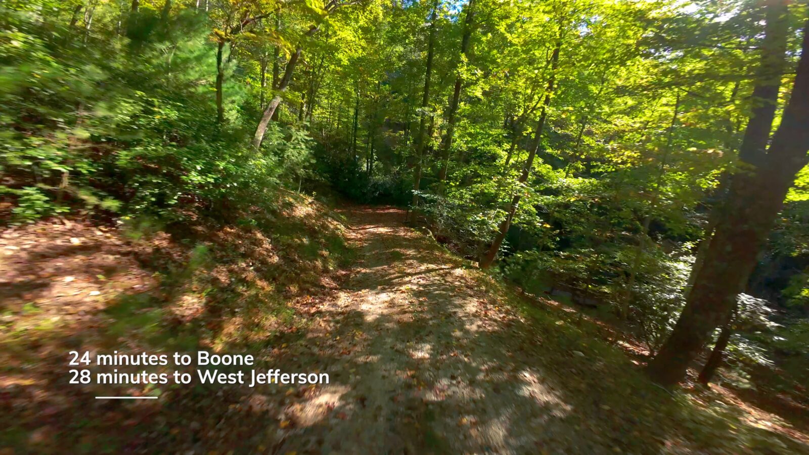 Buck Mountain Cabin | theshipleyco.com