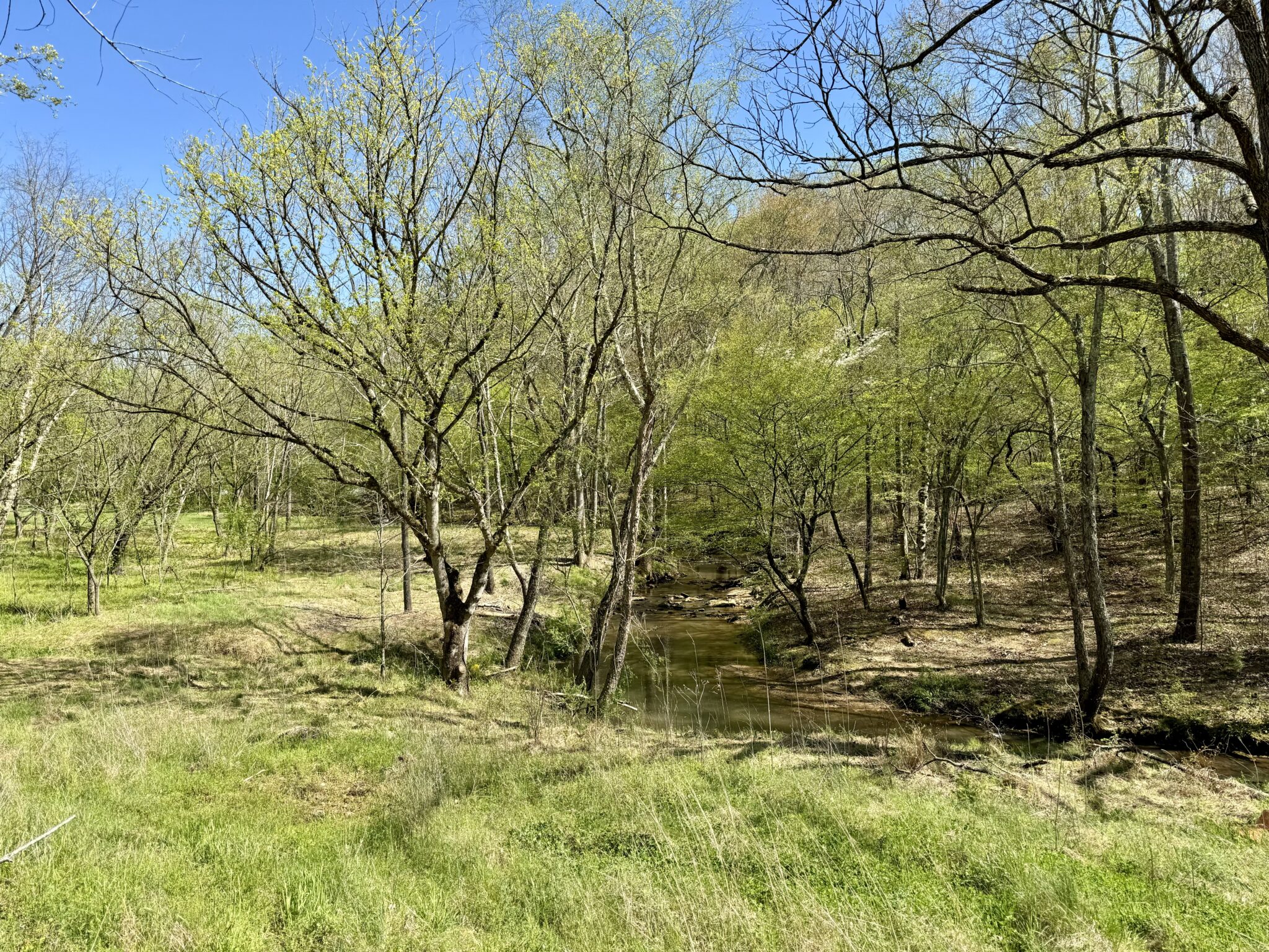 Thomas Farm Estate Lots | theshipleyco.com