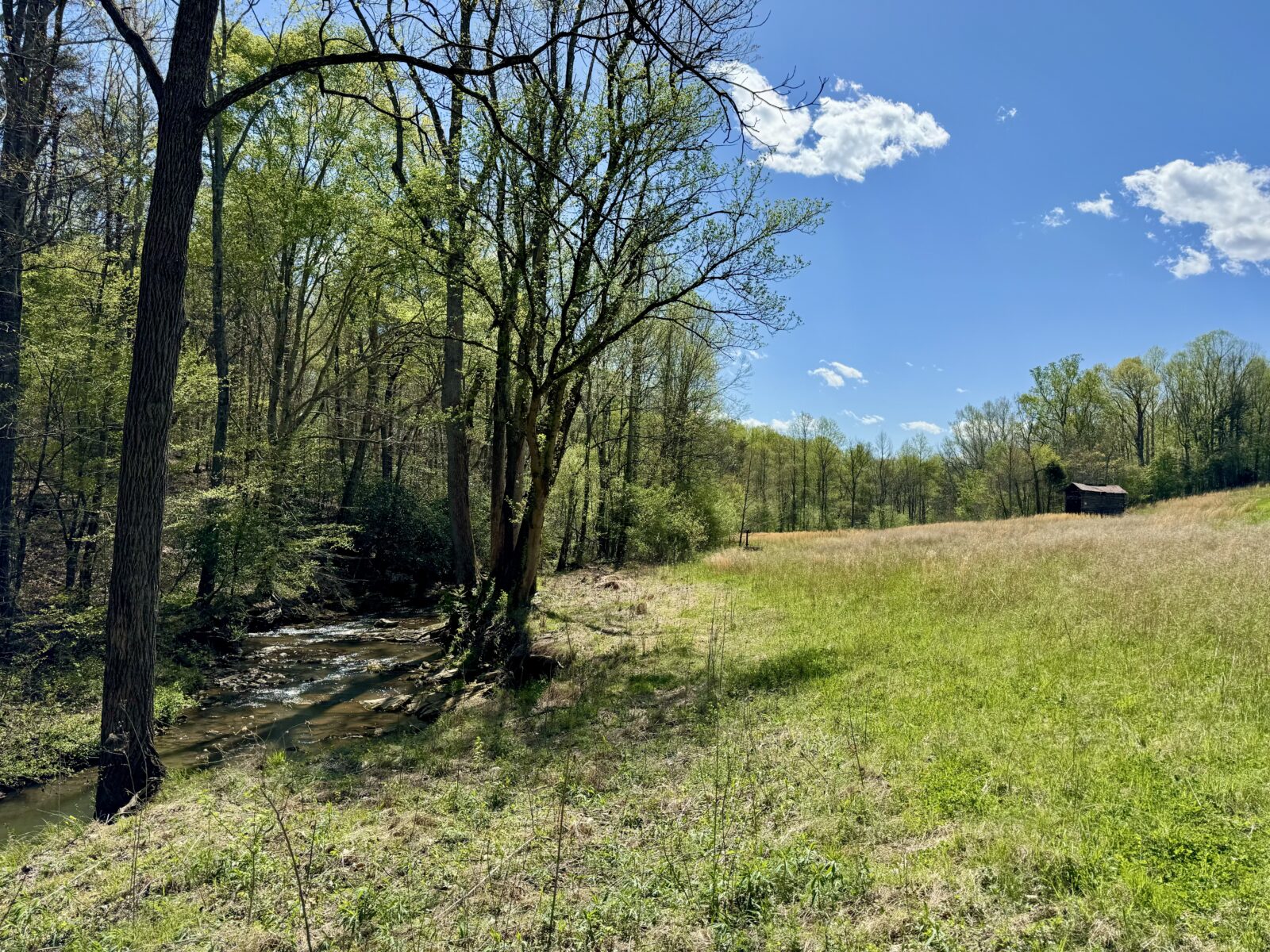 Thomas Farm Estate Lots | theshipleyco.com