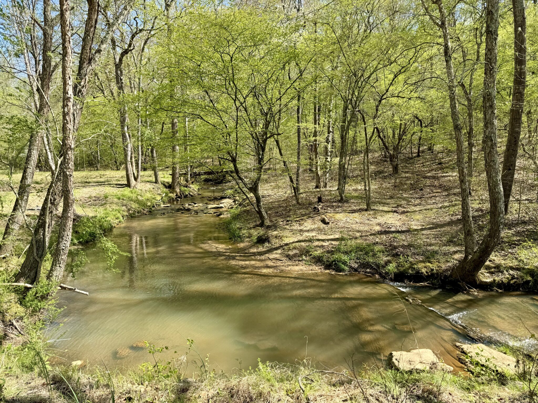 Thomas Farm Estate Lots | theshipleyco.com