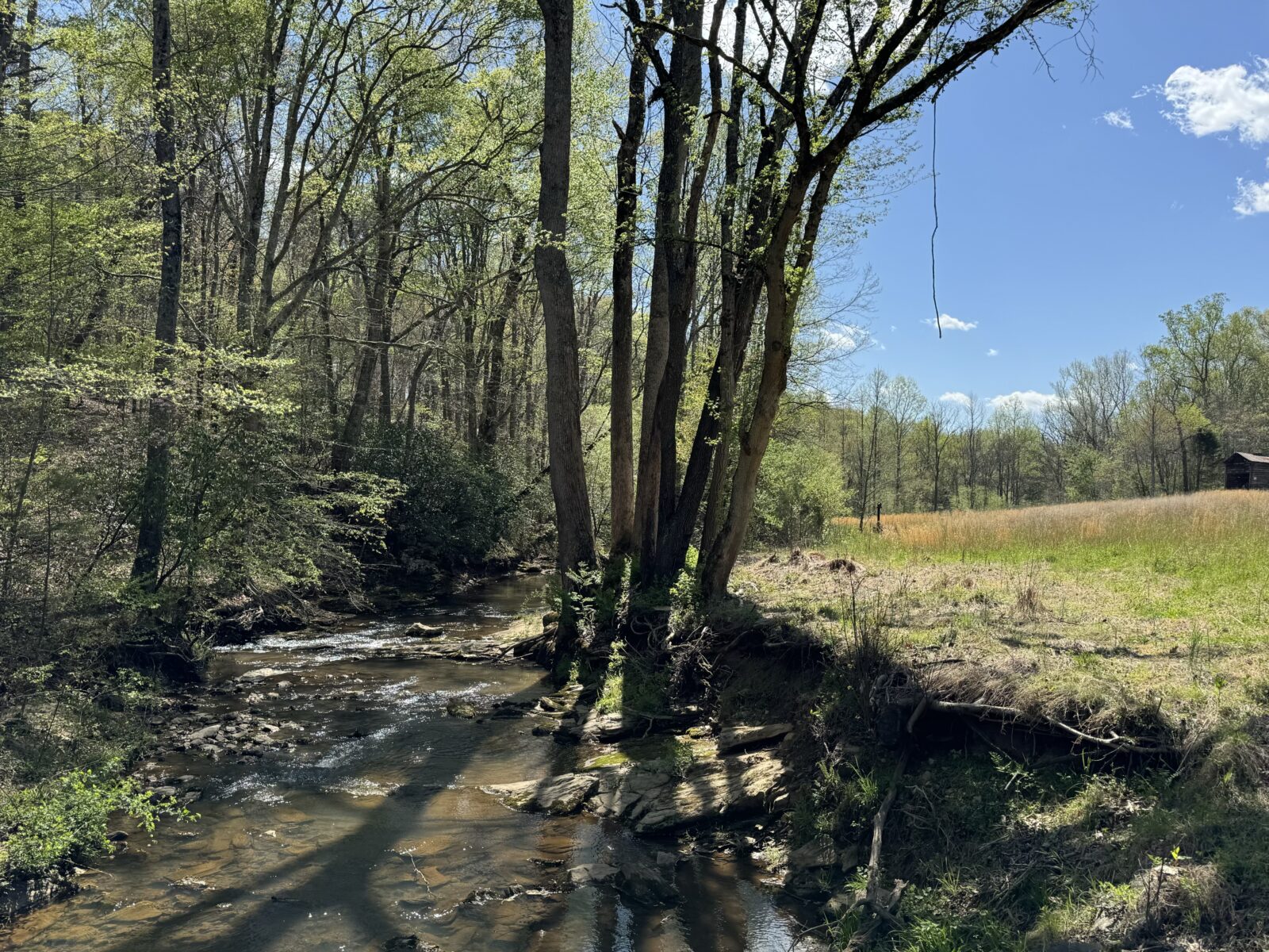 Thomas Farm Estate Lots | theshipleyco.com