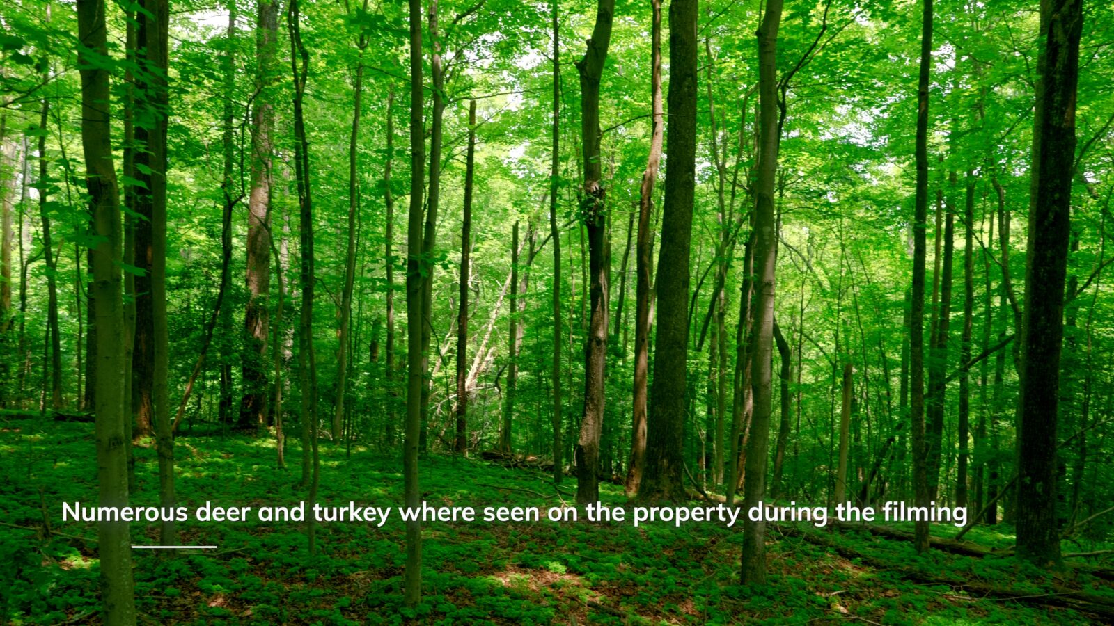 Strivers Way Tract | theshipleyco.com