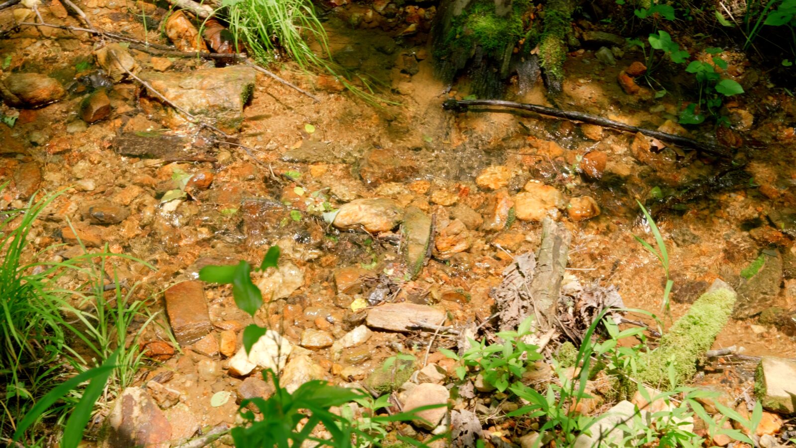 Strivers Way Tract | theshipleyco.com